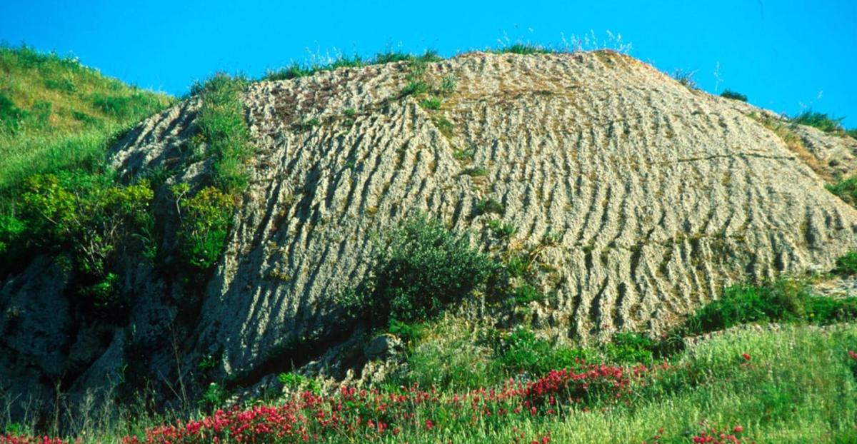 Alla scoperta del "centro esplora ambiente" della riserva di Santa Ninfa