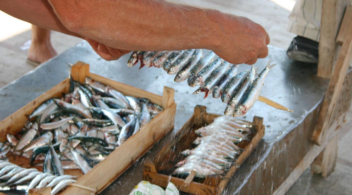 La pesca delle sarde a Selinunte, tradizione che "resiste"
