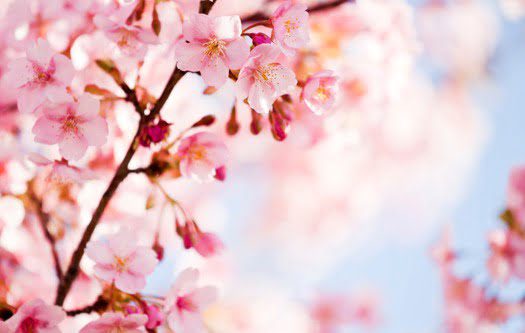 Equinozio di primavera, come mai il 20 e non il 21 marzo?